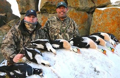 King Eider Hunting with #1 Rated Alaska Duck Hunting Guides