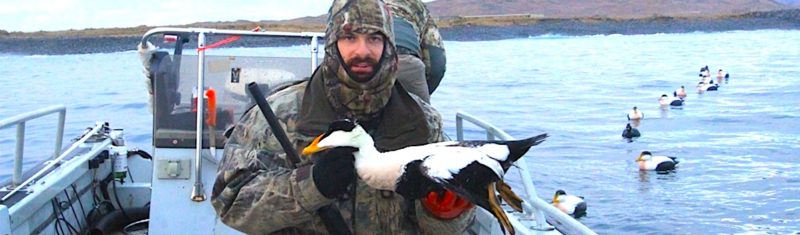 Adak Island hunts top Aleutian Outfitters | Alaska Duck Hunting King ...
