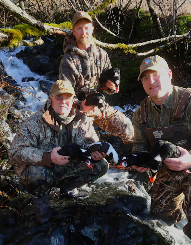 Seaduck hunting Coldbay Alaska | Alaska Duck Hunting King Eider Hunting