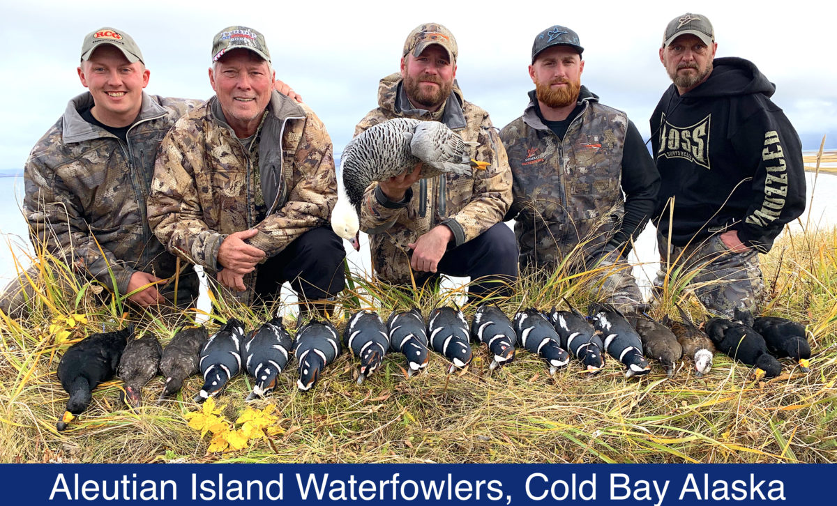 Harlequin duck hunting Alaska Harlequin Duck hunting
