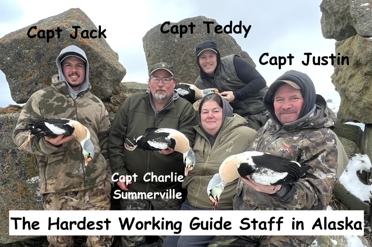 Best King Eider hunting Guides in Alaska