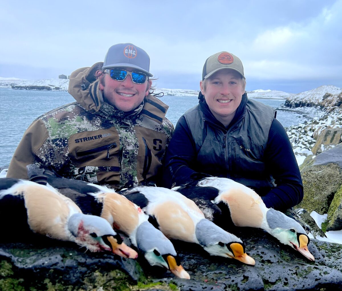 Best King Eider hunting Guides in Alaska